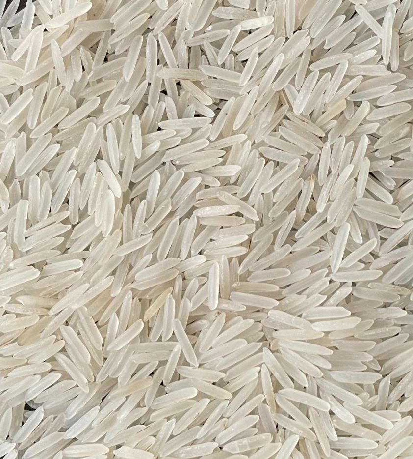 1509 Basmati Rice - SUMAN EXIM